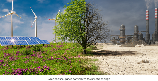 Climate action is the keystone of building a sustainable future