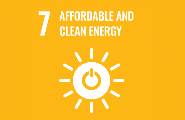 Our UN Sustainable Development Goals & Efforts | Tata Power