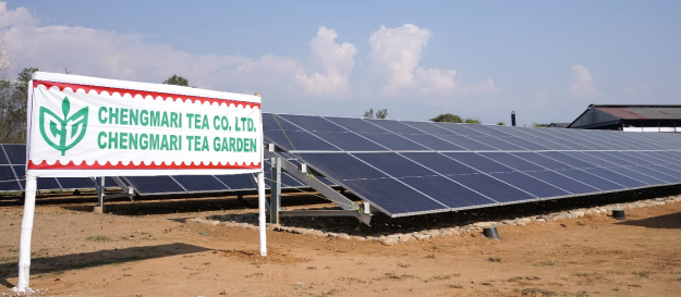Bifacial solar system, Chengmari Tea Estate, West Bengal