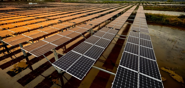 Powering tomorrow: The evolution and future of solar energy