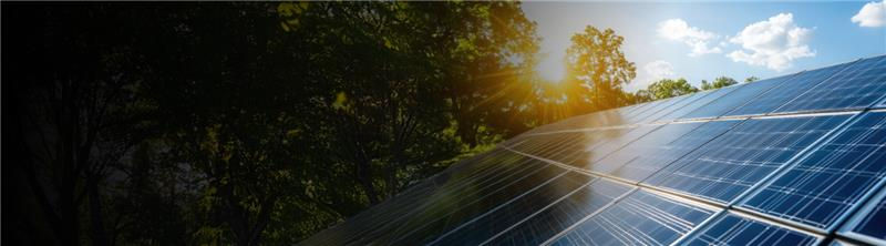 How to choose the best solar panel company in 2025
