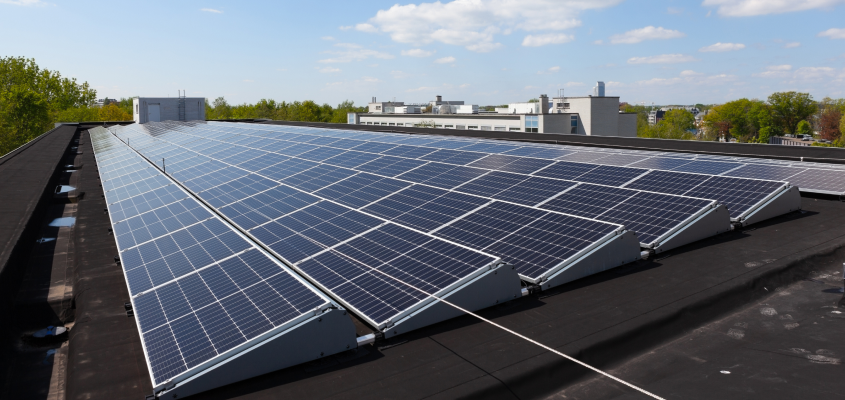 Government Solar Panel Scheme | Five Solar Panel Government Subsidies